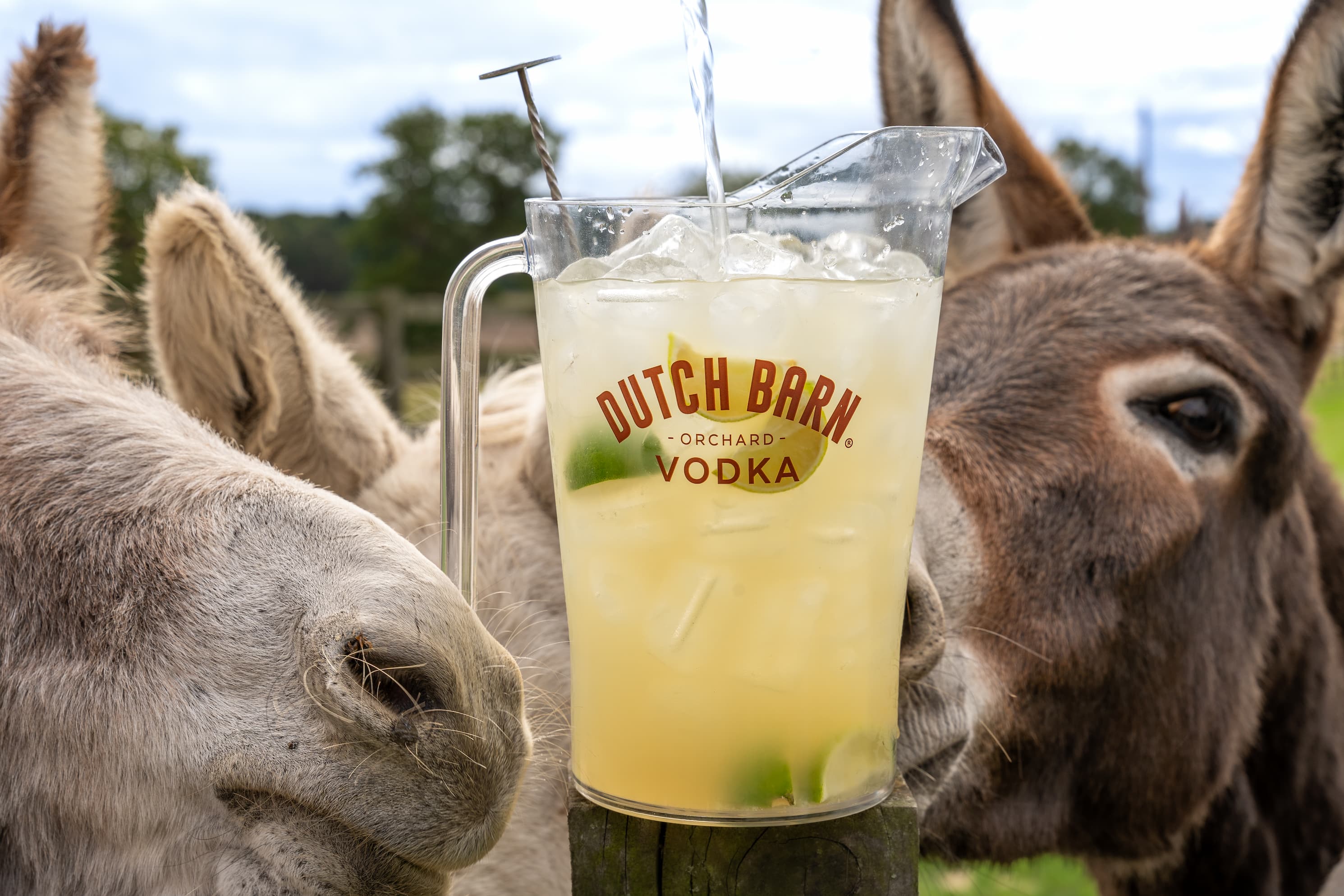 Donkey – Dutch Barn Vodka