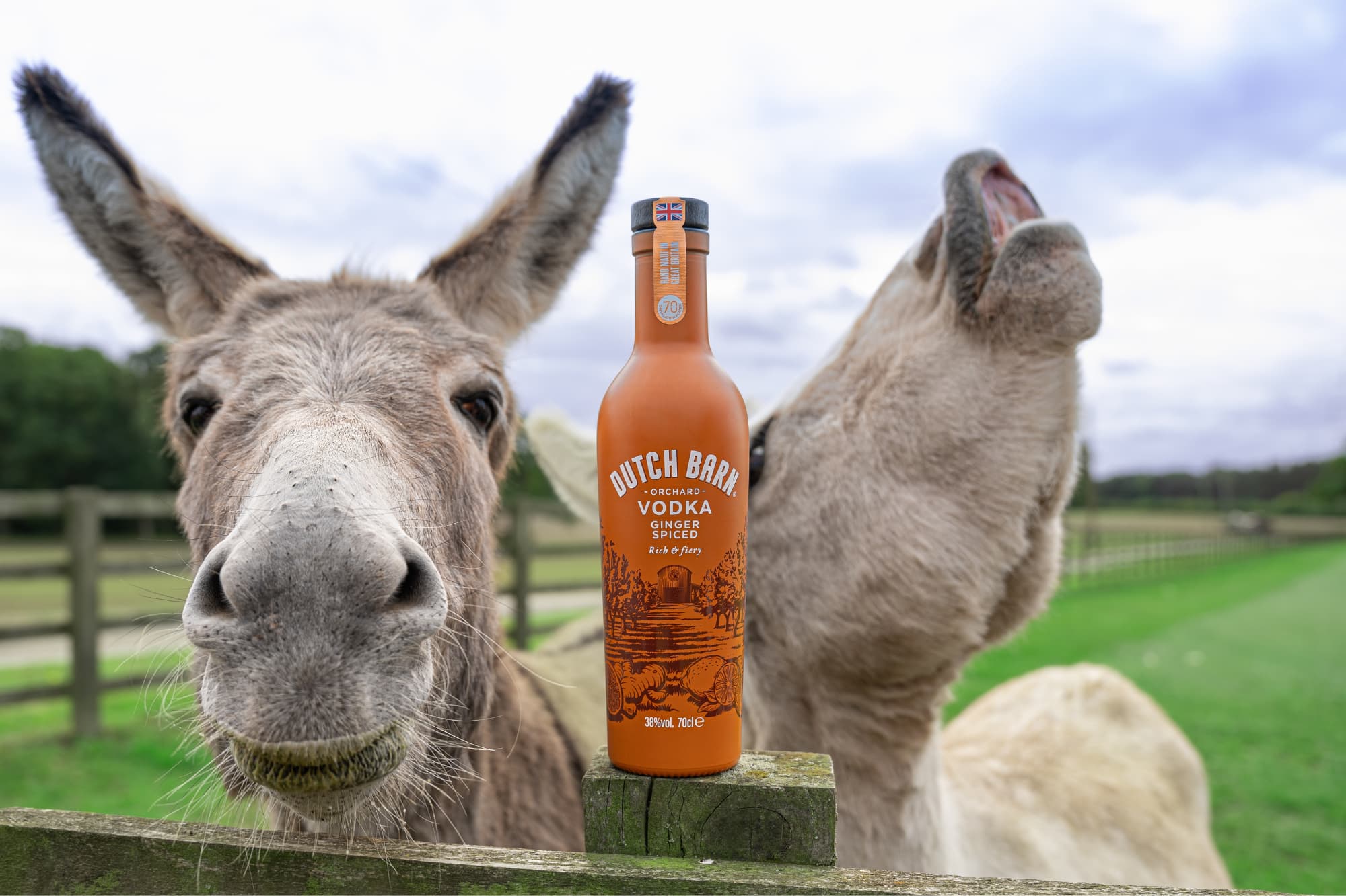 Dutch Barn Ginger Spiced Vodka – Dutch Barn Vodka