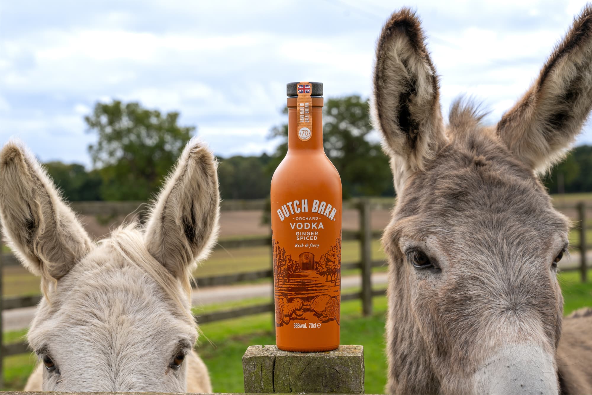 Donkey – Dutch Barn Vodka